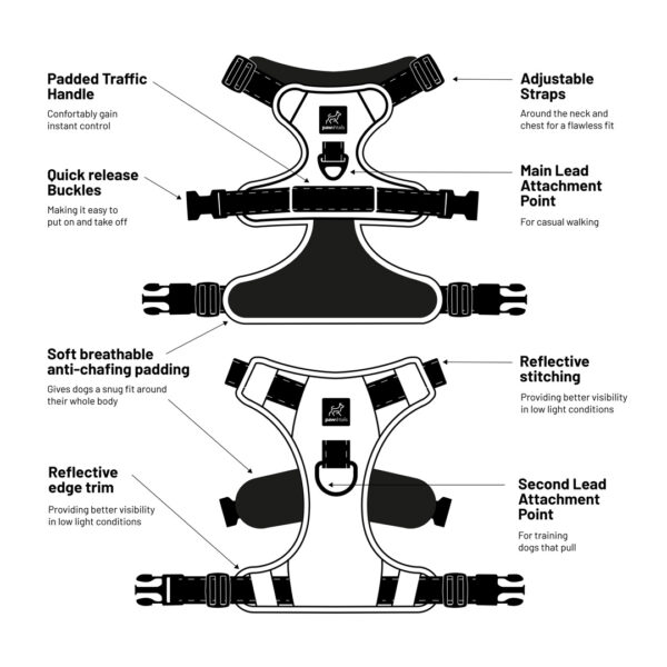 Emerald Green Anti Pull Dog Harness | Adjustable Dog Harness