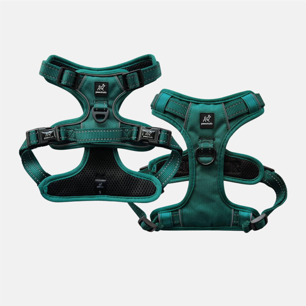 Emerald Green Anti Pull Dog Harness | Adjustable Dog Harness