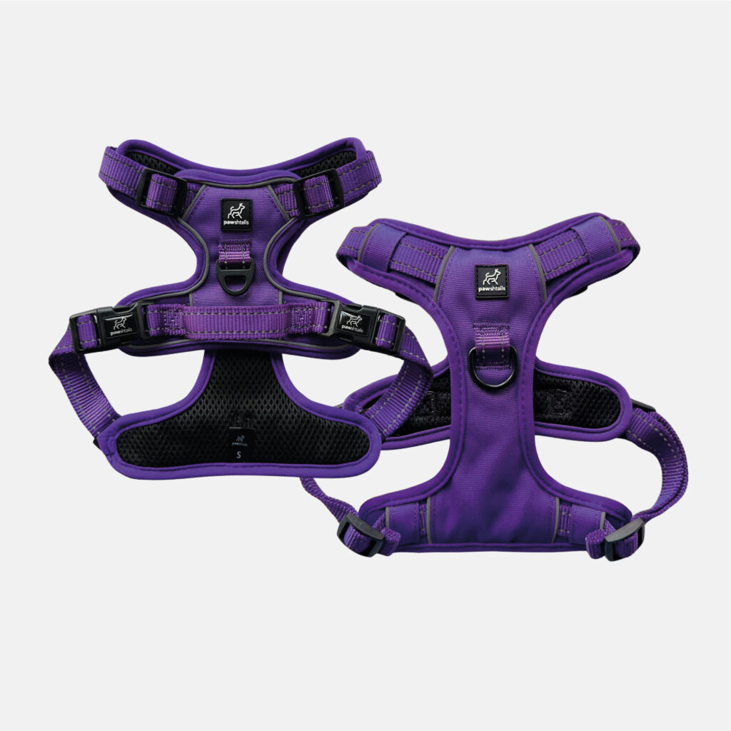 Purple Anti Pull Dog Harness | Adjustable Dog Harness