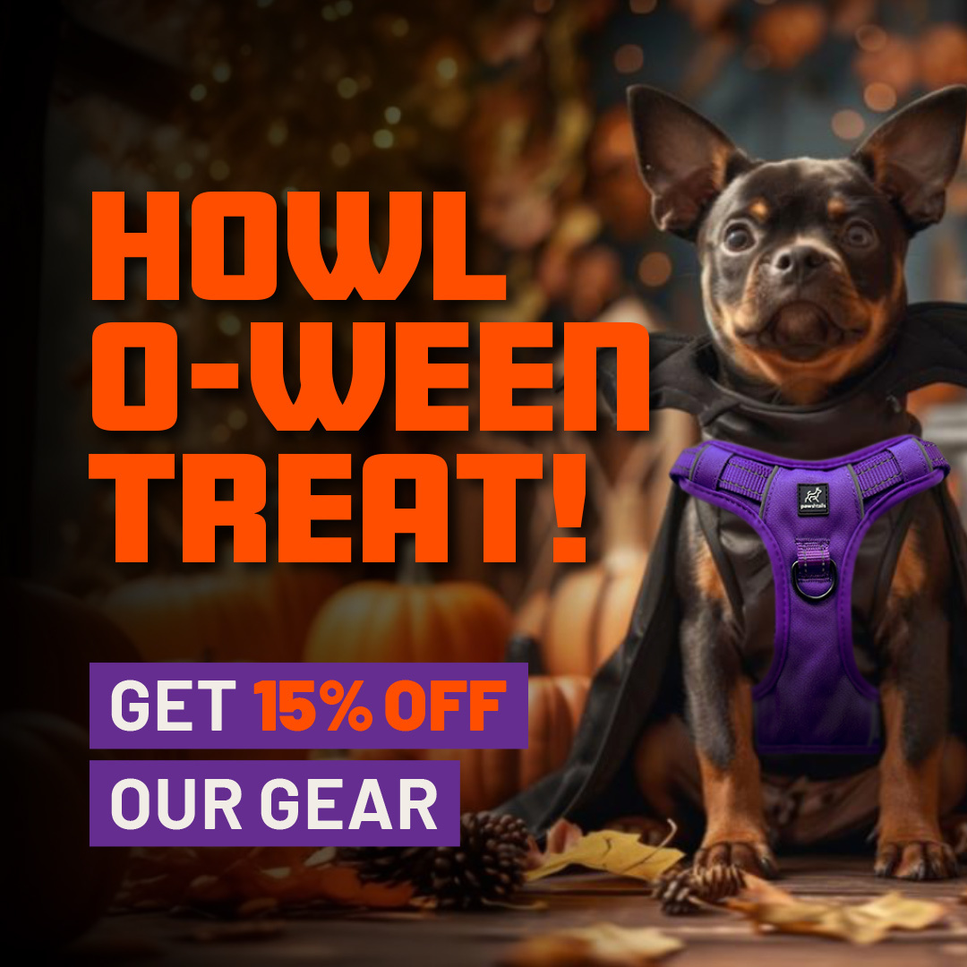 Pet Shop | Pet Store | Dog Accessories | Pawshtails.com